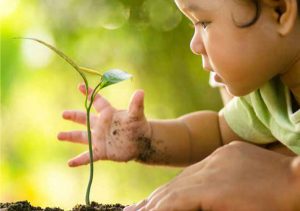 Set Up Your Environment - Early Science Matters