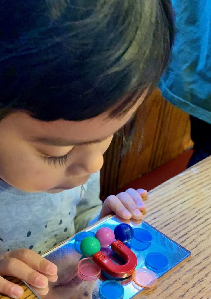 The Magic of Magnetism - Early Science Matters