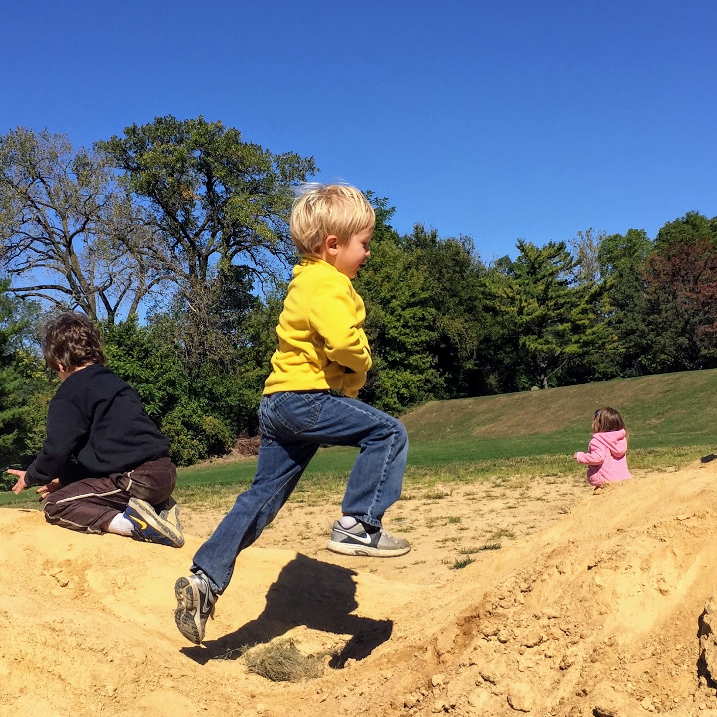 Finding STEM in Piles of Dirt - Early Science Matters