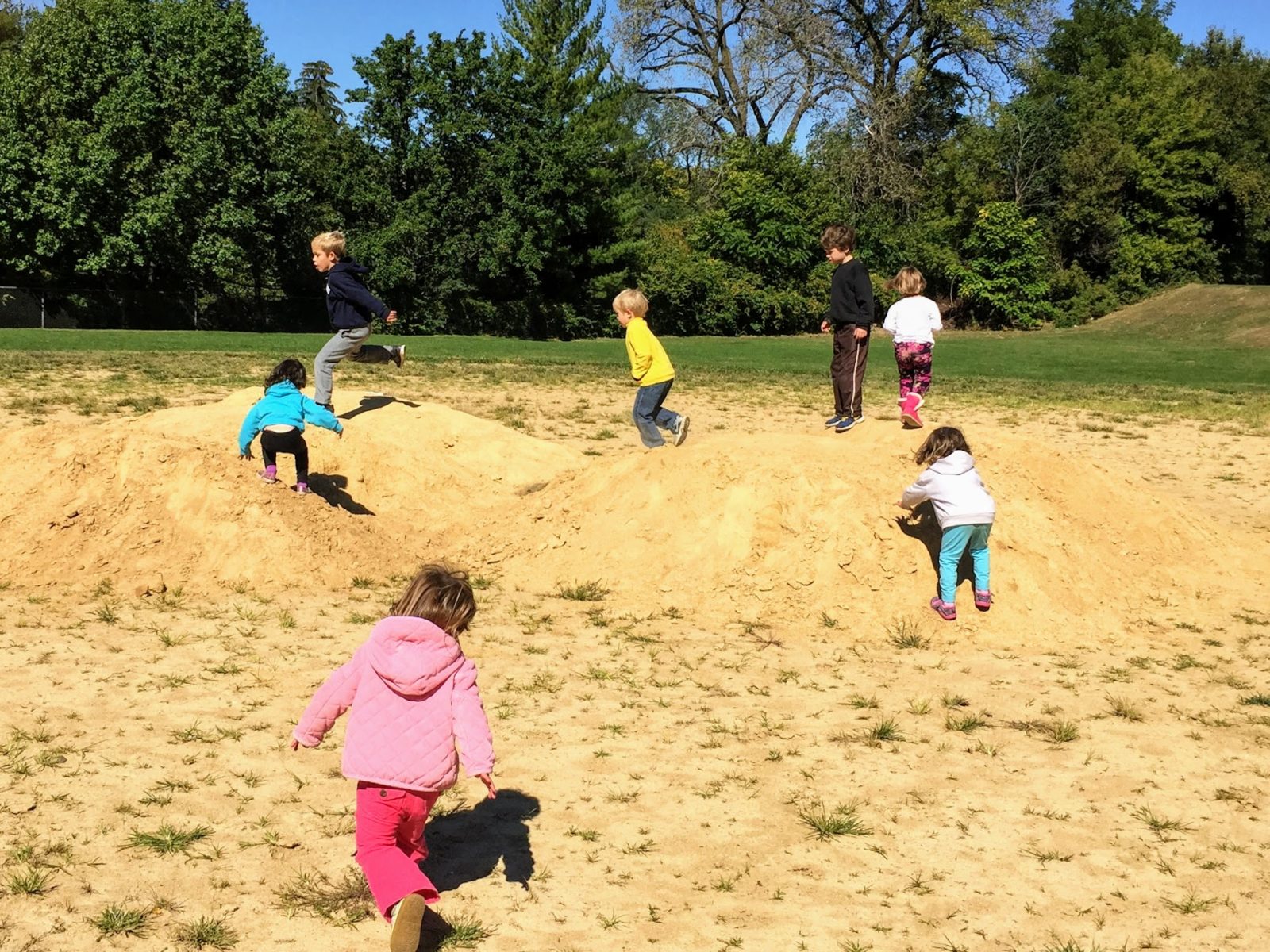 Finding STEM in Piles of Dirt - Early Science Matters