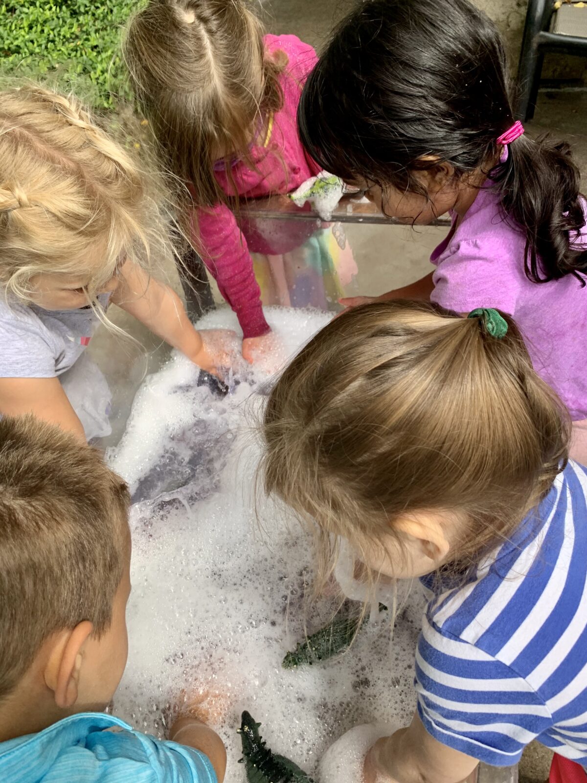 The Secret Agent of Bubbles - Early Science Matters