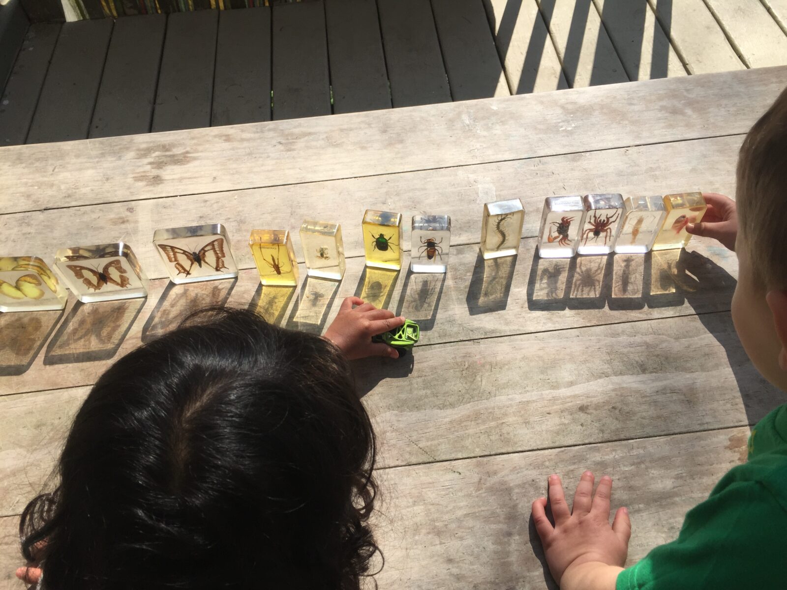 Insect Adventures - Early Science Matters