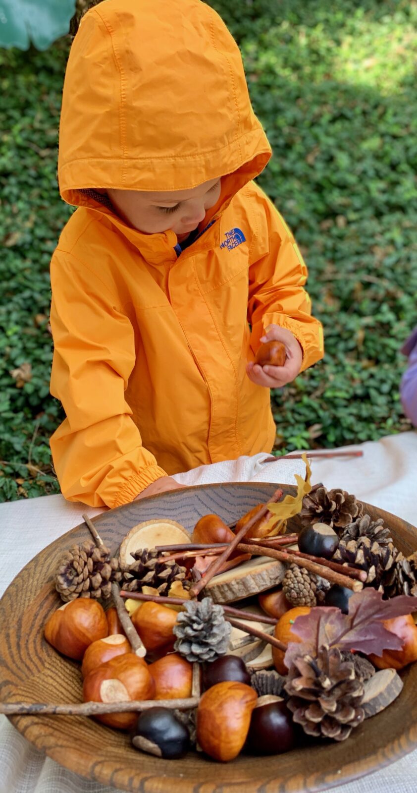 STEAM Investigations With Autumn's Loose Parts - Early Science Matters