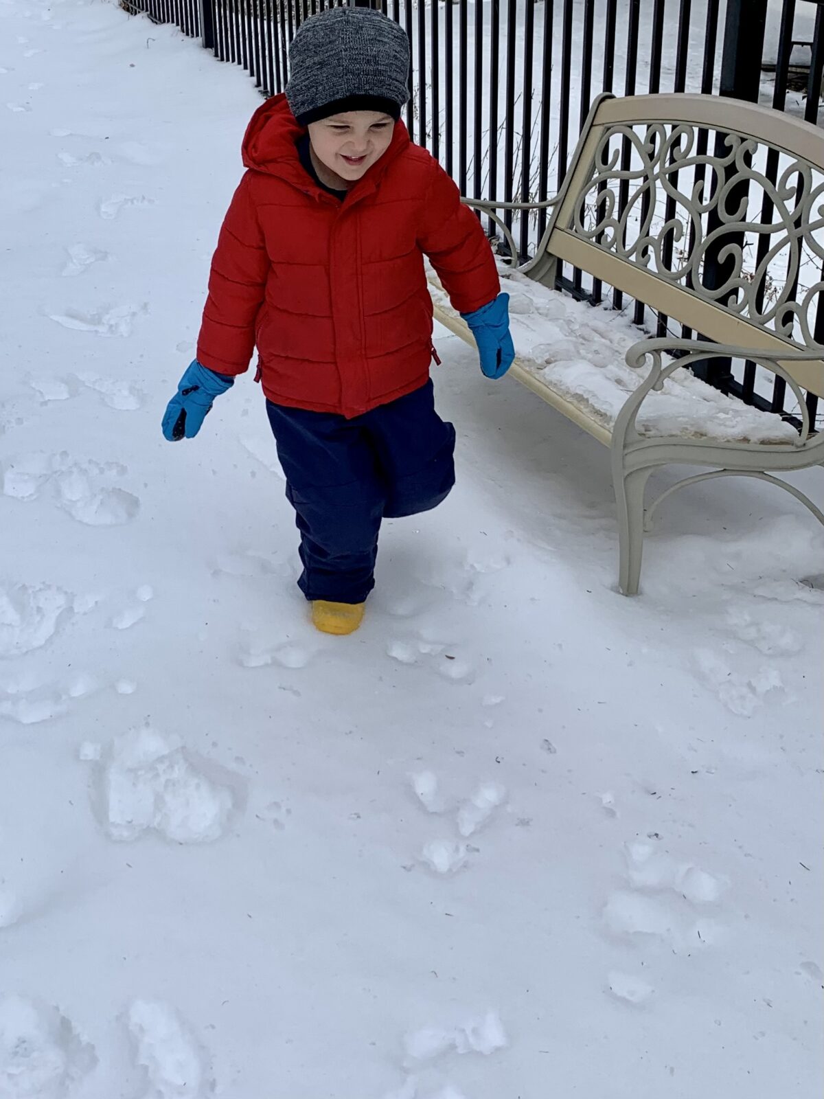 Investigating Snow Tracks - Early Science Matters