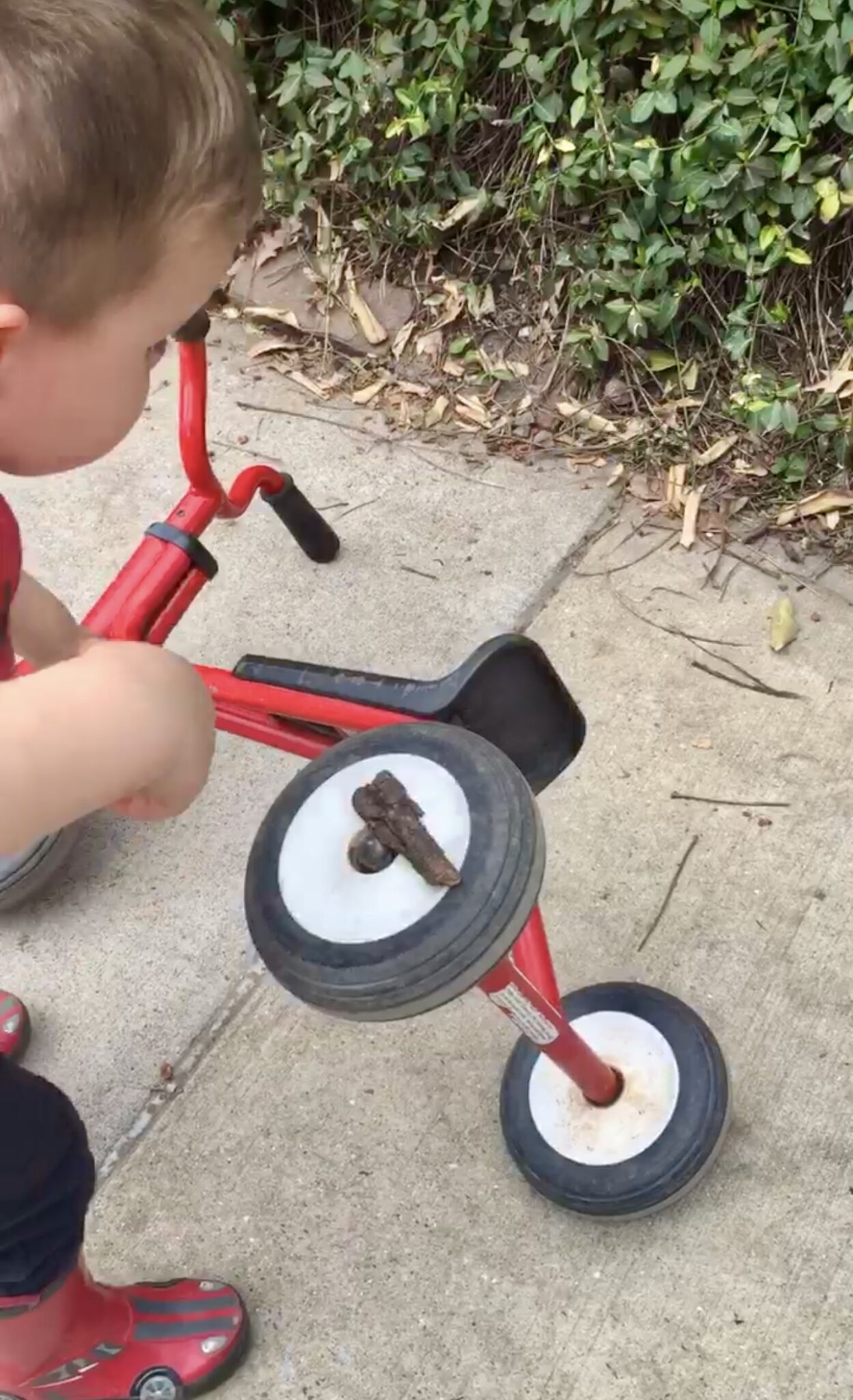 Physics in Motion - Early Science Matters