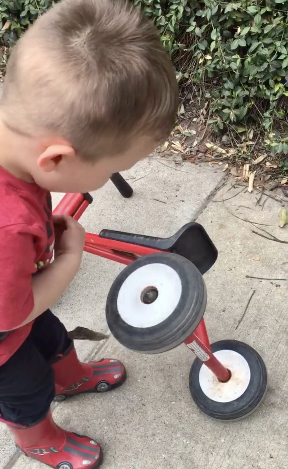 Physics in Motion - Early Science Matters