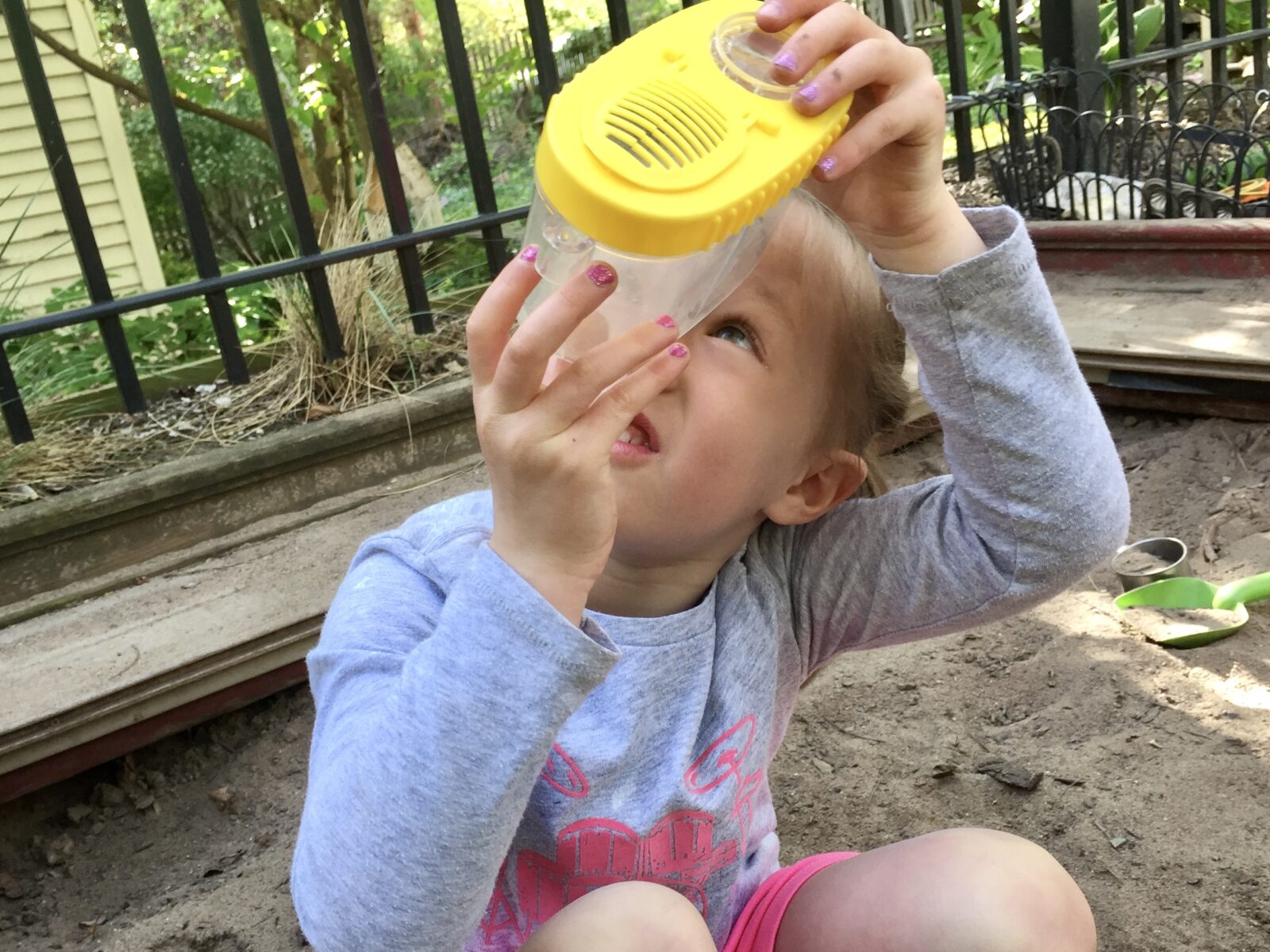 Insect Investigations - Early Science Matters