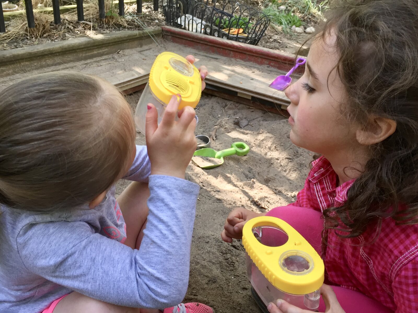 Insect Investigations - Early Science Matters